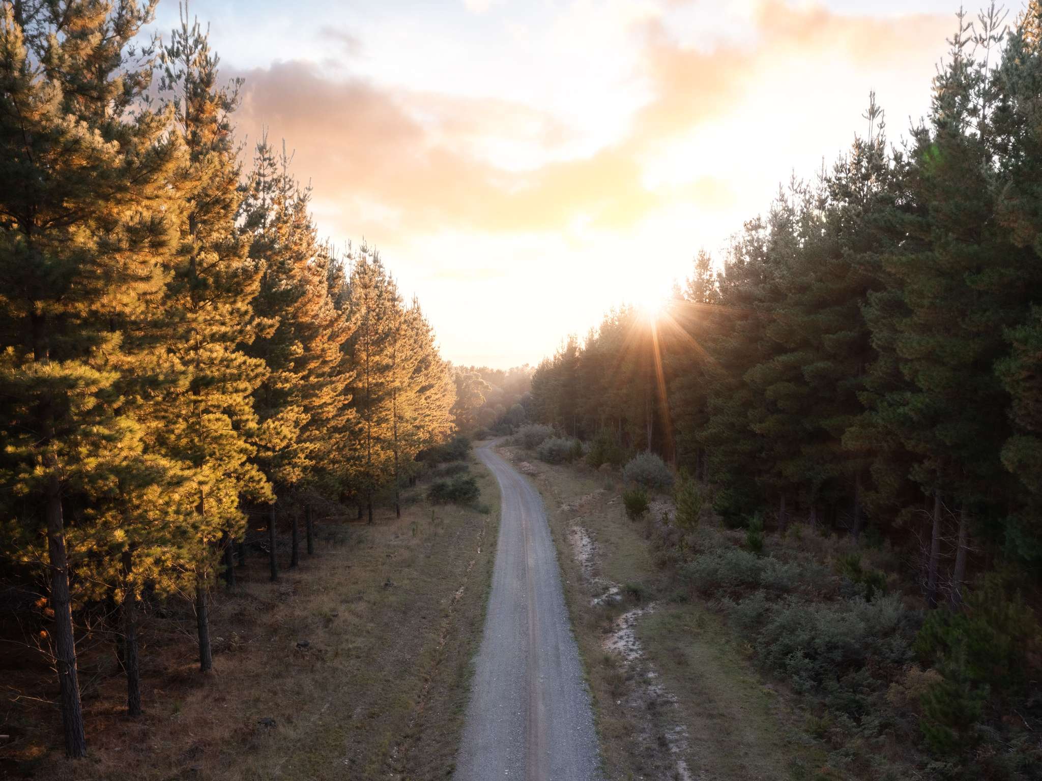 The Sebel Creswick Forest Resort - AccorHotels - ALL