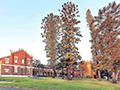 Mercure Maitland Monte Pio - AccorHotels - ALL