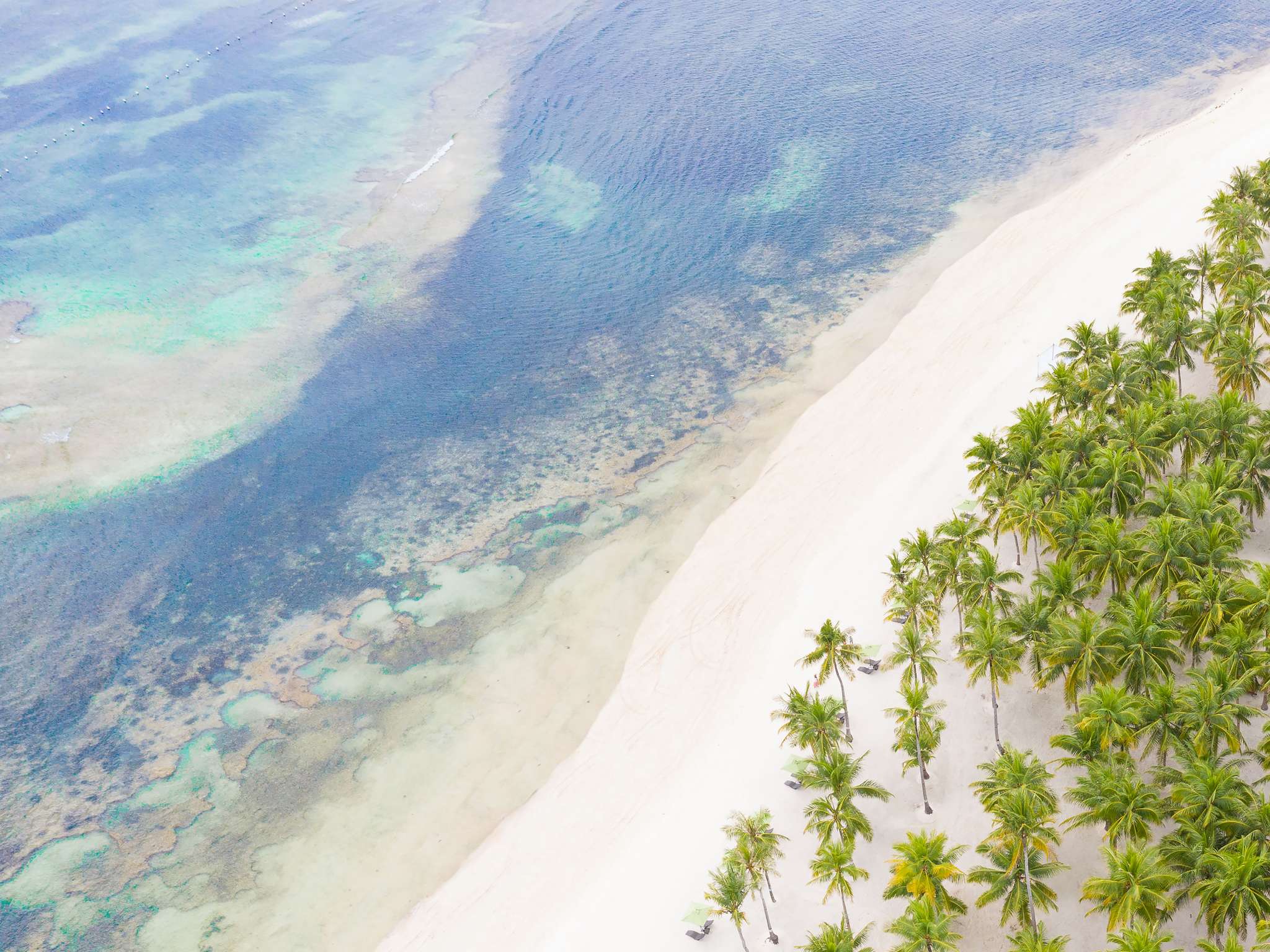 South Palms Resort & Spa Panglao - MGallery - Bohol Hotel | ALL - ALL