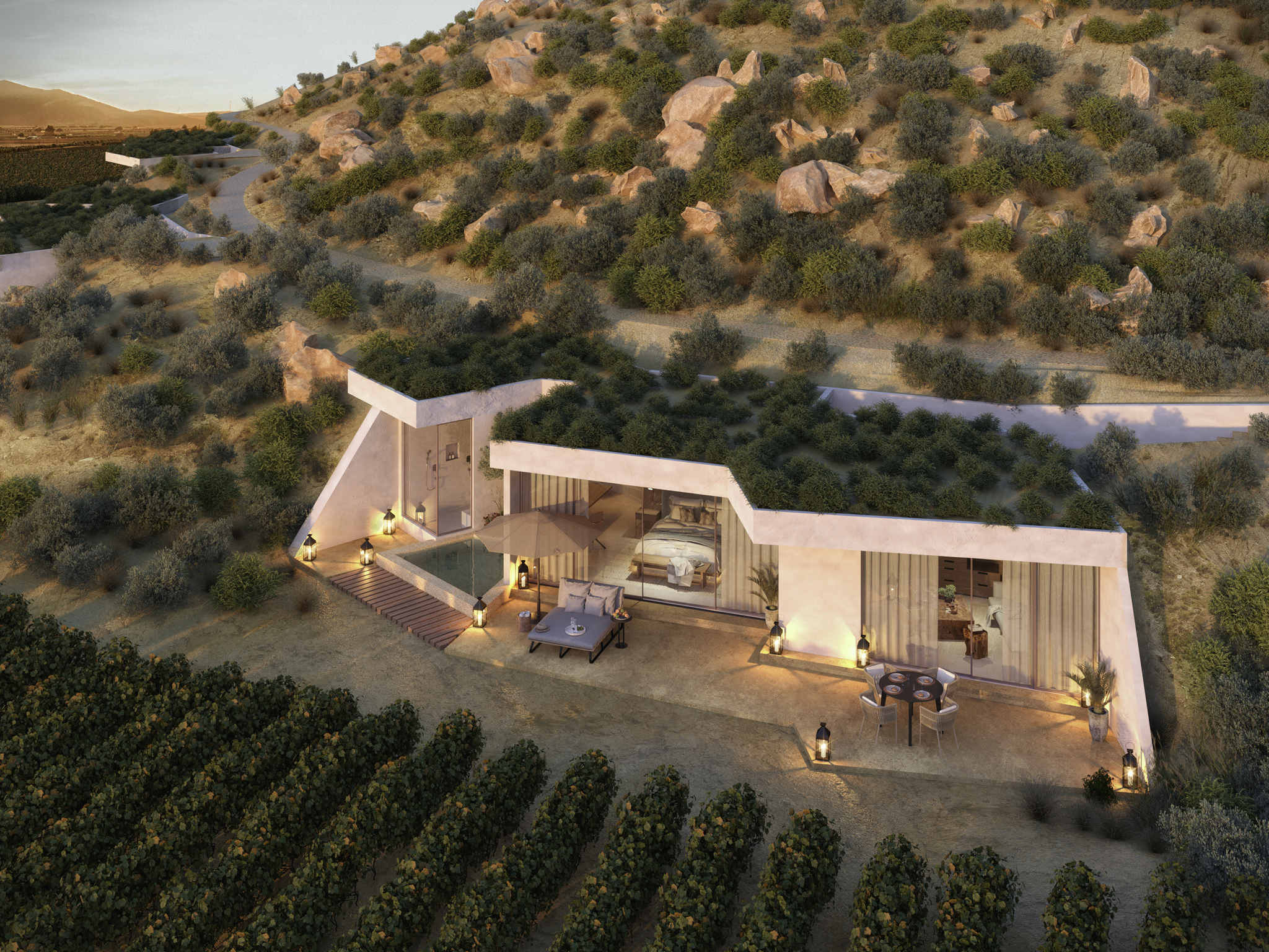 Banyan Tree Veya Valle de Guadalupe - ALL