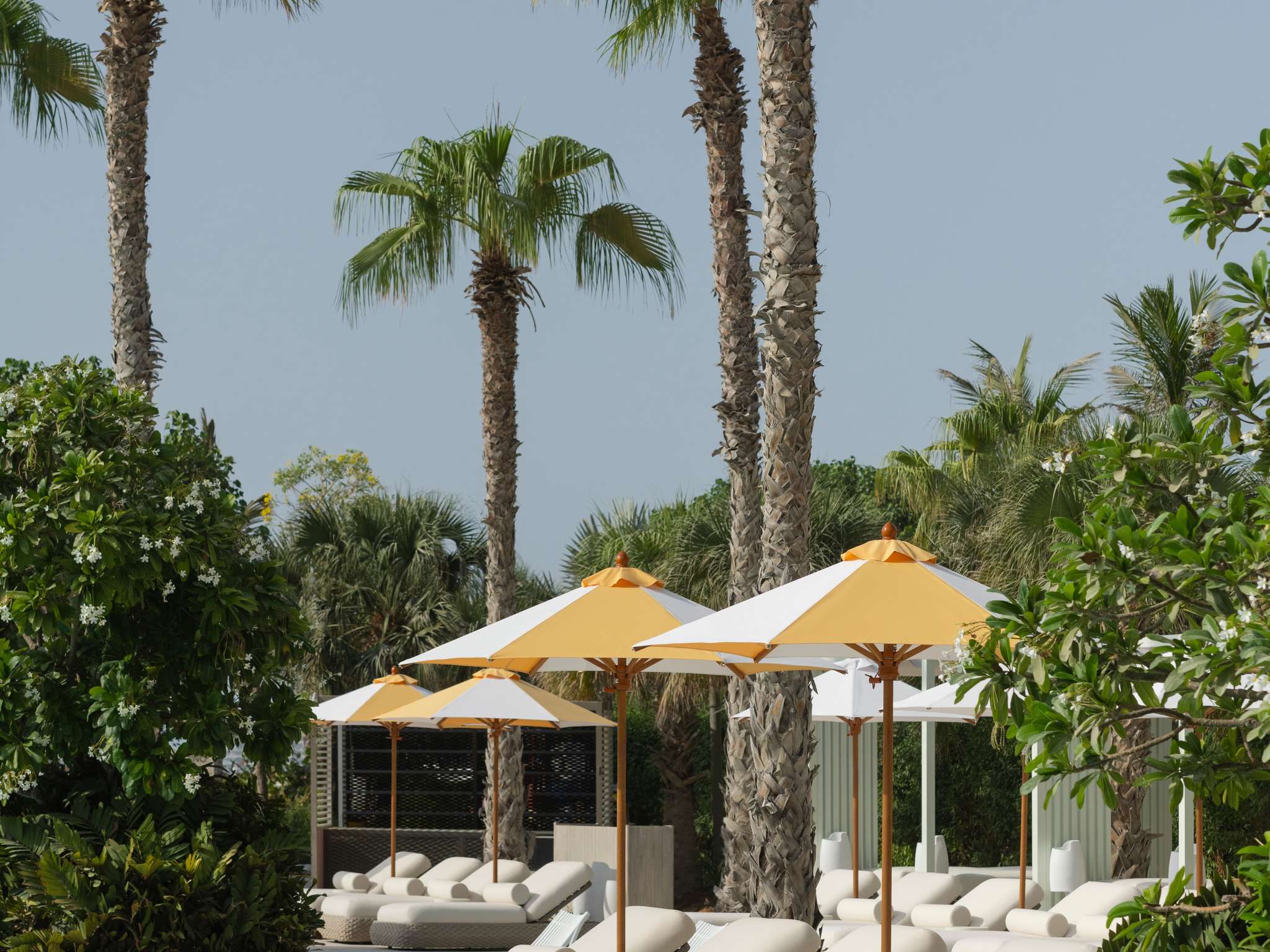 Discover Delano Dubai, where Miami’s iconic glamour meets Dubai’s ...