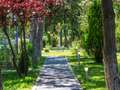 ibis Styles Venus - ALL